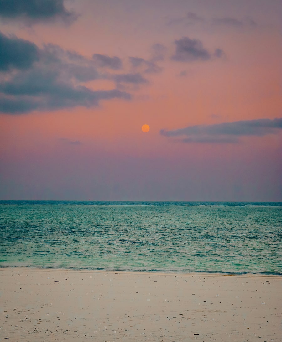 Exploring Zanzibar: The Ultimate Travel Guide • Colorcrrush